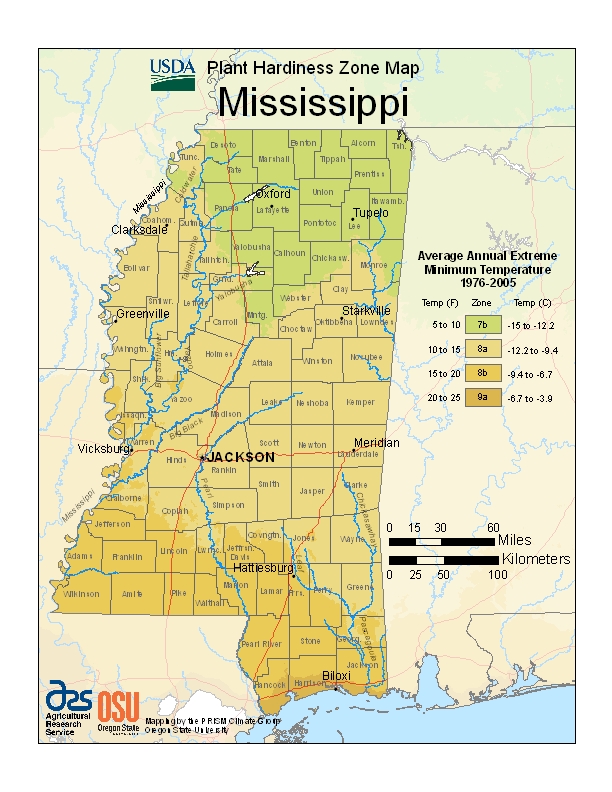 Mississippi Map With Zip Codes Mississippi Map With Zip Codes Map